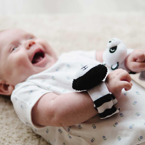 Priya & Peanut | Award-Winning Sensory Toys For Babies & Newborns